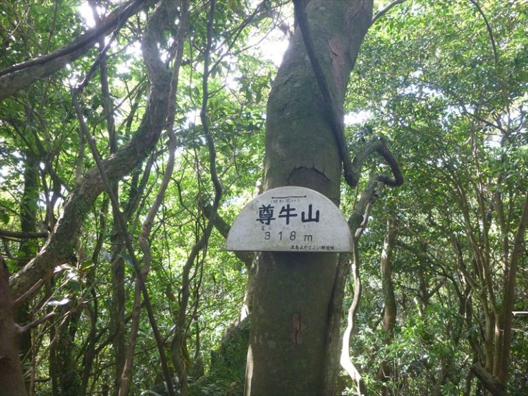 坊津アルプス縦走 | 山のサロン、山旅の企画「サンサン山倶楽部」